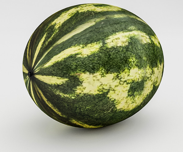 ArtStation - 3D Watermelon Model | Resources