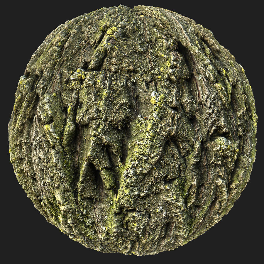 ArtStation - Tree Bark 8 Material Pack | Game Assets