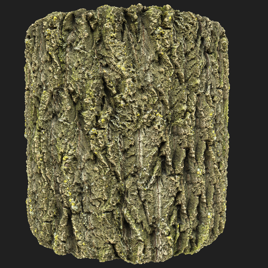 ArtStation - Tree Bark 8 Material Pack | Game Assets