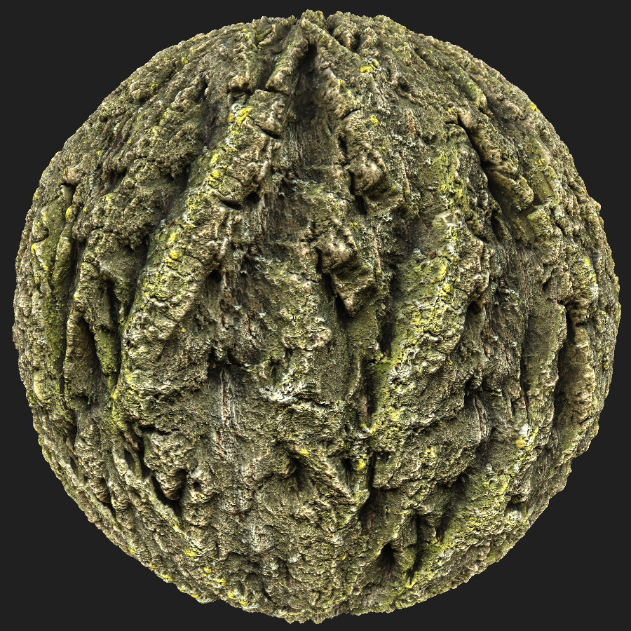 ArtStation - Tree Bark 8 Material Pack | Game Assets
