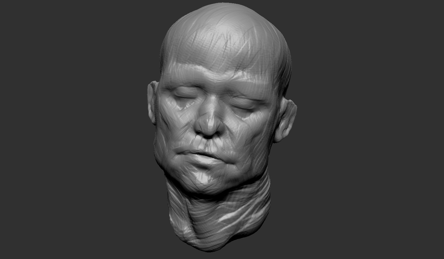 ArtStation - Head Sculpt - Anatomy Study | Resources