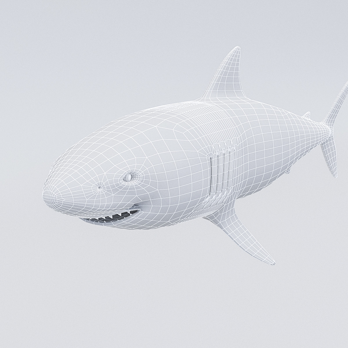 ArtStation - Rigged Shark Model | Game Assets