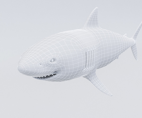 ArtStation - Rigged Shark Model | Game Assets