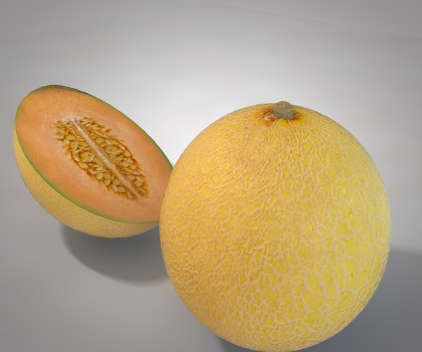 ArtStation - Melon 3D Model | Resources