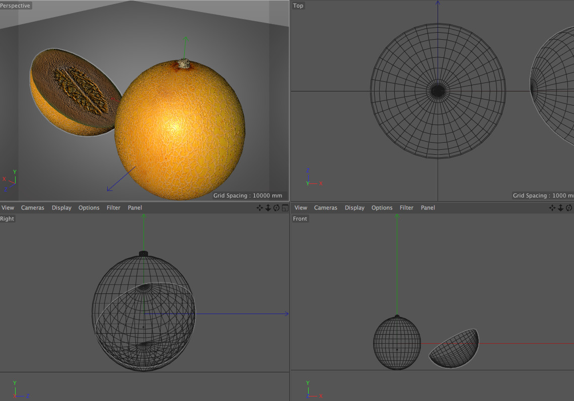 ArtStation - Melon 3D Model | Resources