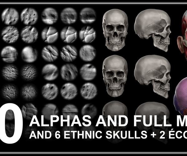 ArtStation - 50 Full Alphas With Maps and 6 Skulls | Brushes