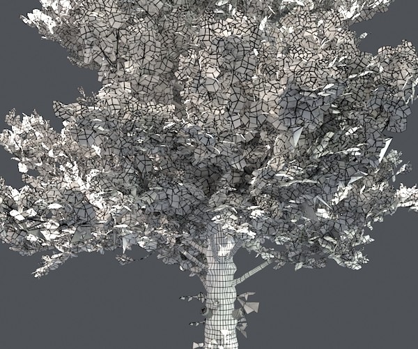 ArtStation - Tree Collection Vol 001 (30 Trees) | Resources
