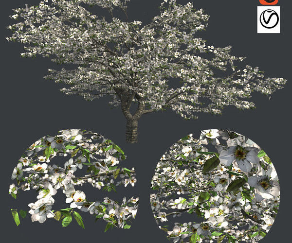 ArtStation - Tree Collection Vol 001 (30 Trees) | Resources