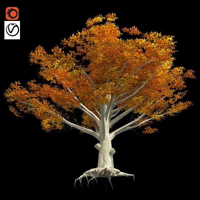 ArtStation - Tree Collection Vol 001 (30 Trees) | Resources
