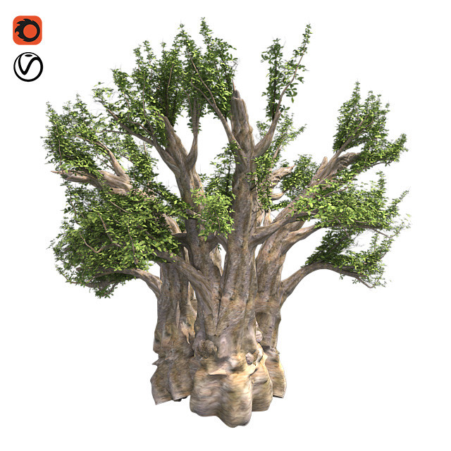 ArtStation - Tree Collection Vol 001 (30 Trees) | Resources