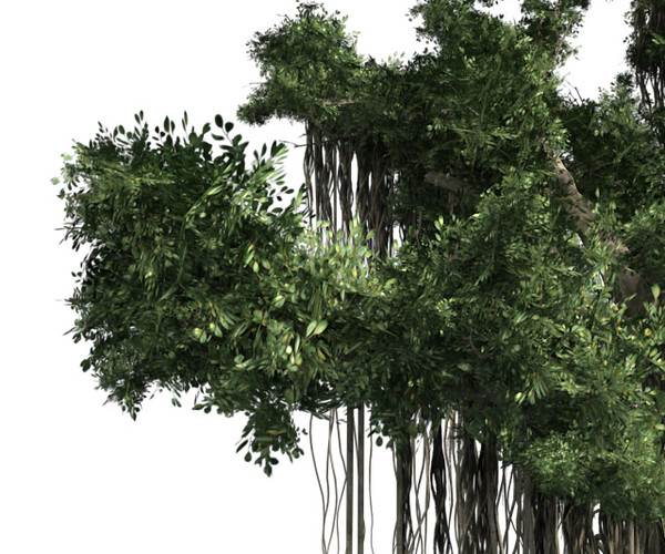 ArtStation - Tree Collection Vol 001 (30 Trees) | Resources