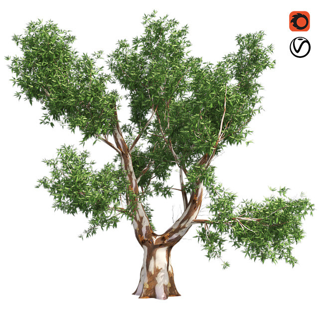 ArtStation - Tree Collection Vol 002 (32 Trees) | Resources