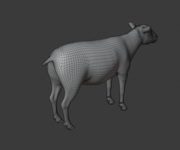 ArtStation - 3D Animal | Sheep | Resources