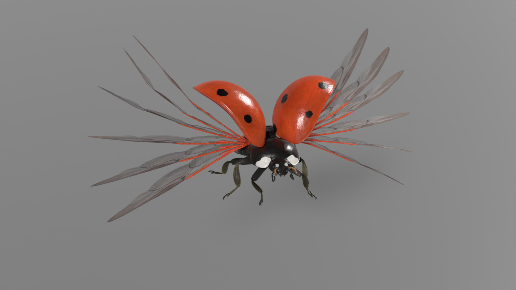 ArtStation - 3D Animal | Ladybug Animated | Resources