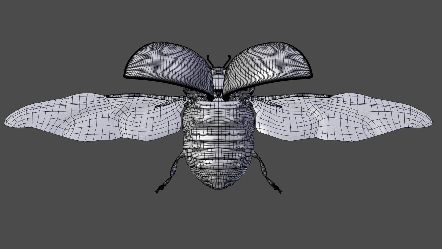 ArtStation - 3D Animal | Ladybug Animated | Resources