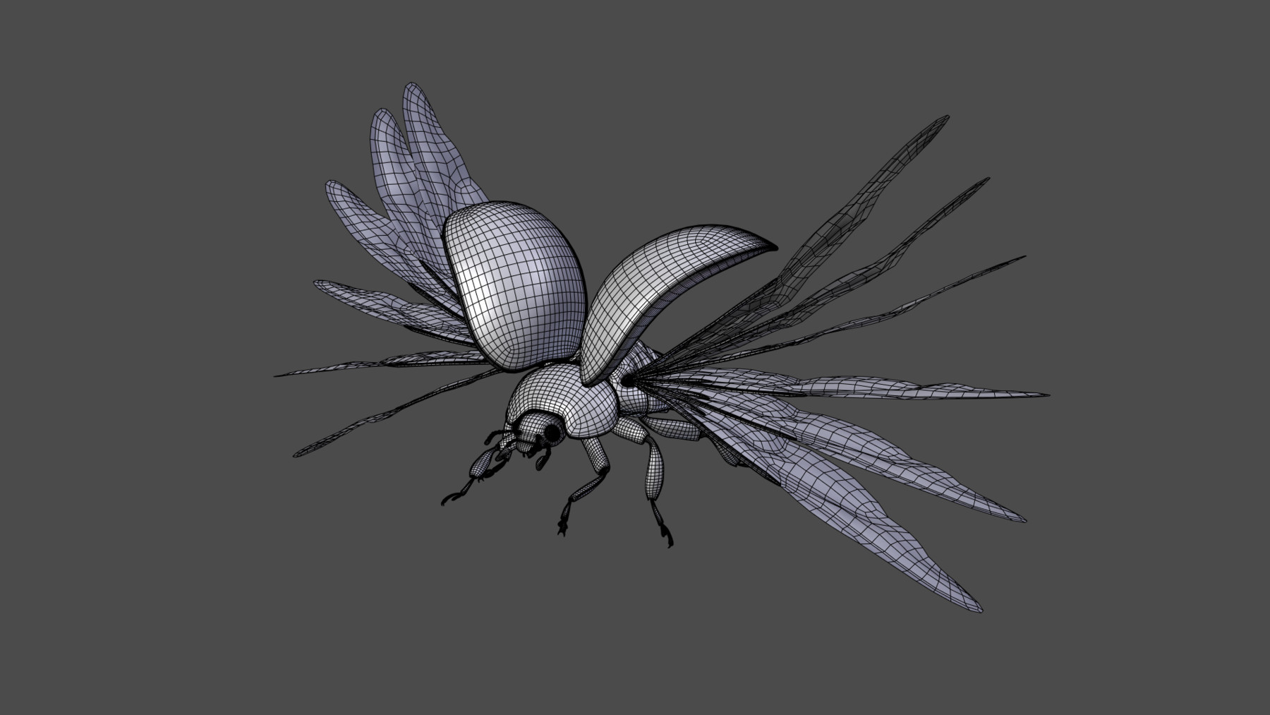 ArtStation - 3D Animal | Ladybug Animated | Resources