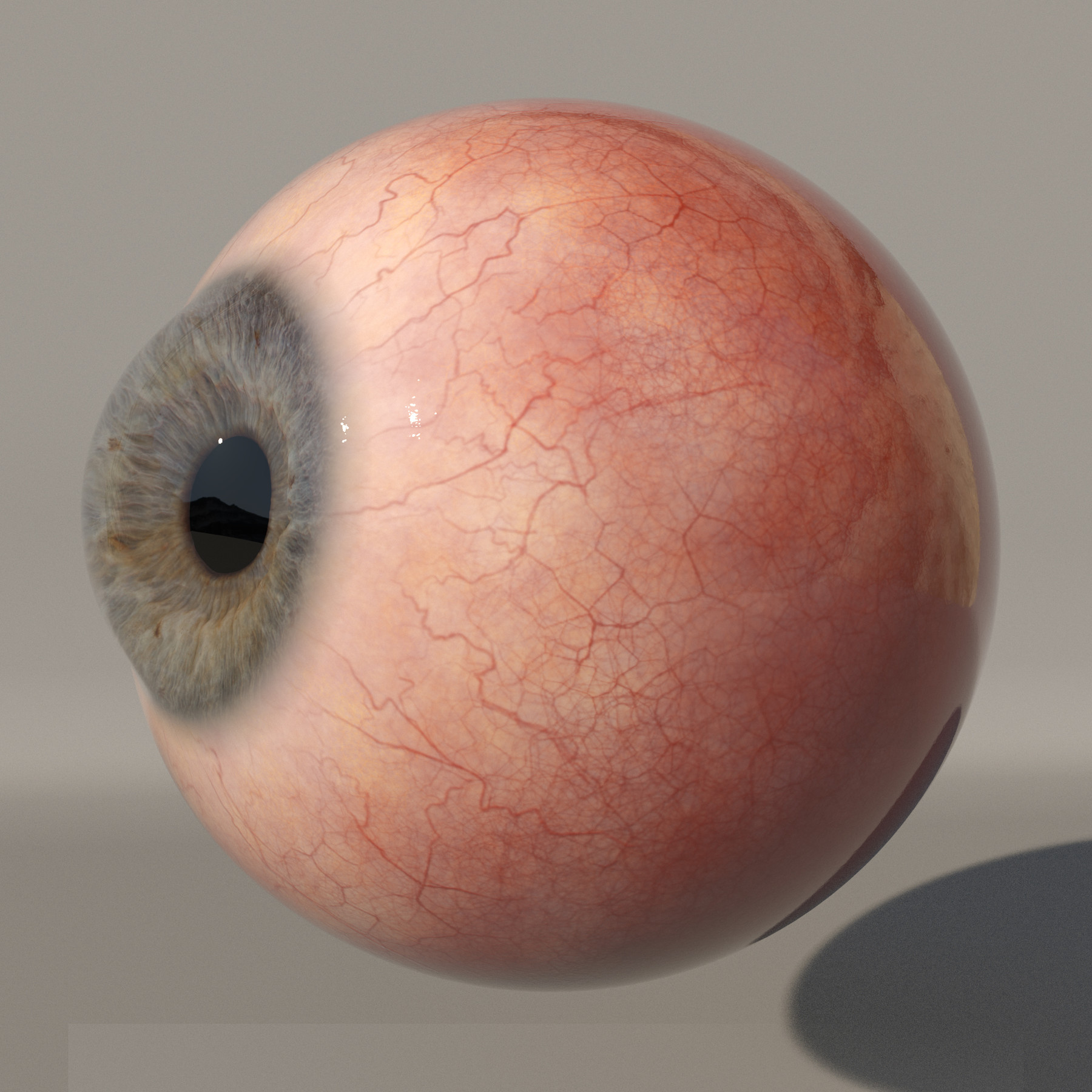 ArtStation - Realistic eye model | Resources