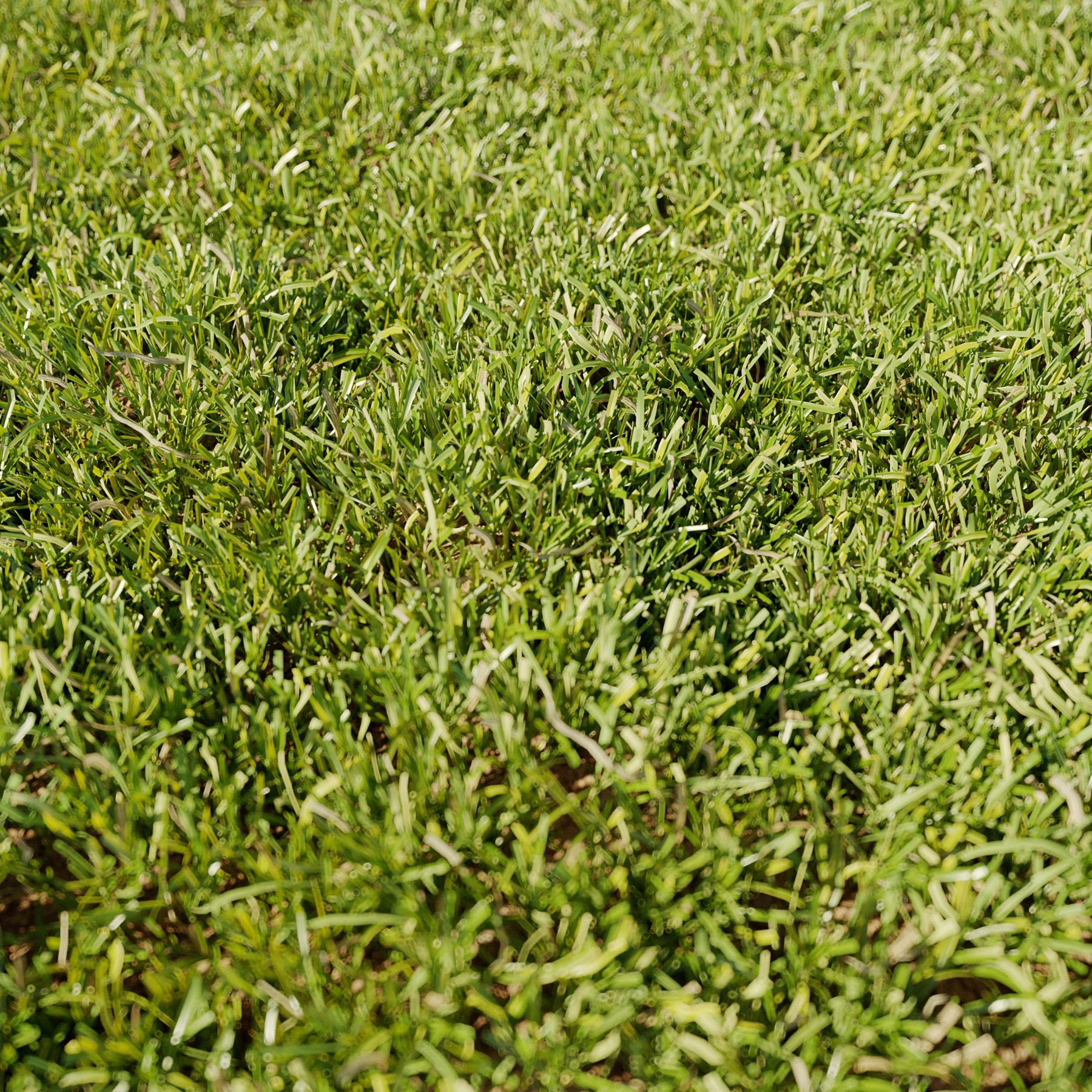 ArtStation - High Details Grass Vol_01 | Resources