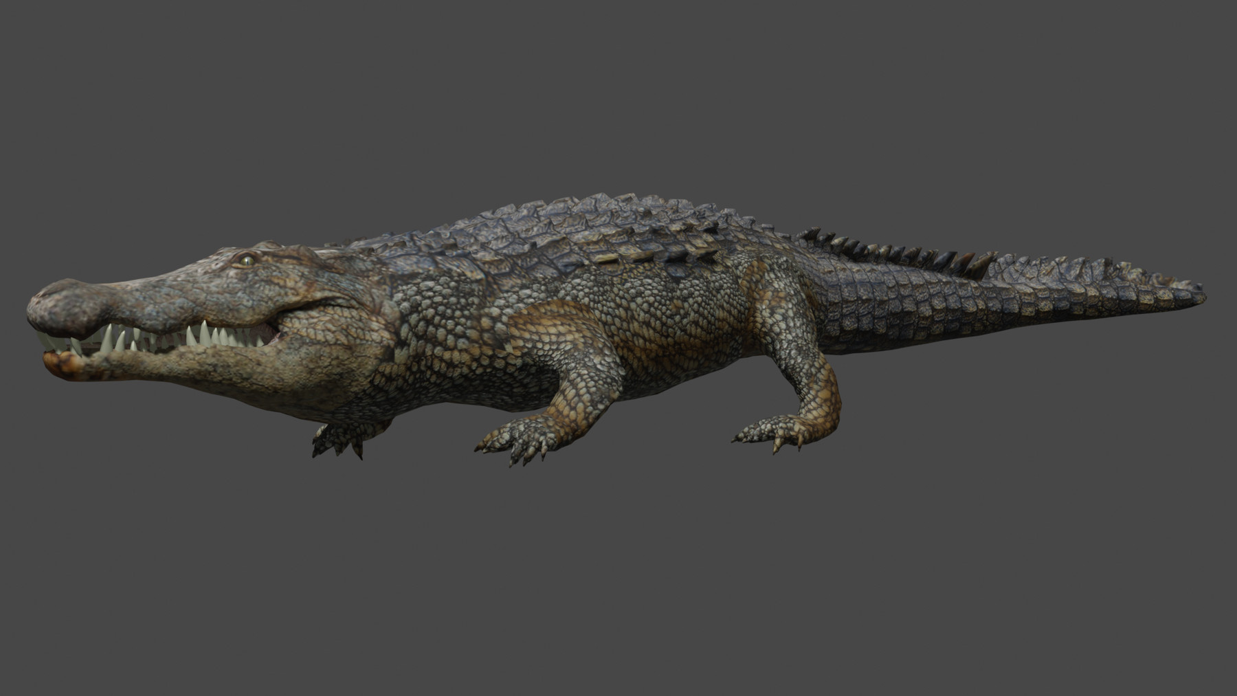 ArtStation - Aligator | Game Assets