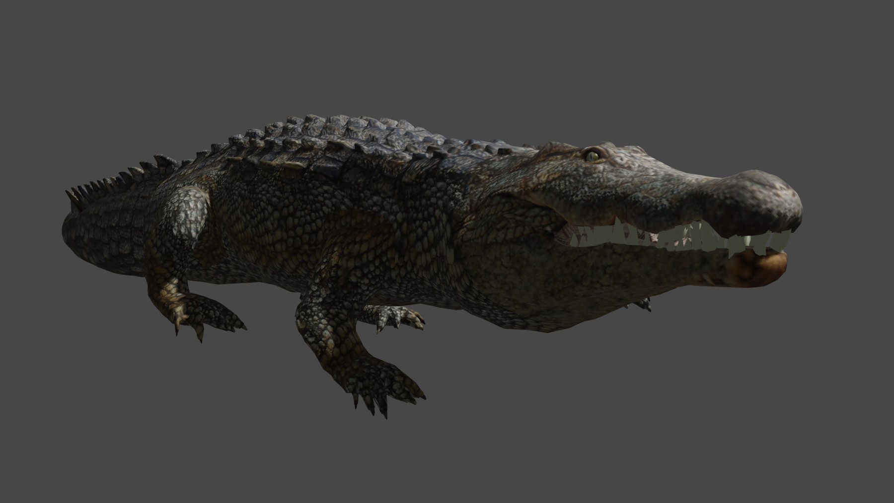 ArtStation - Aligator | Game Assets