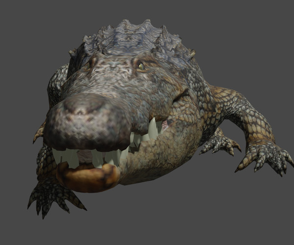 ArtStation - Aligator | Game Assets