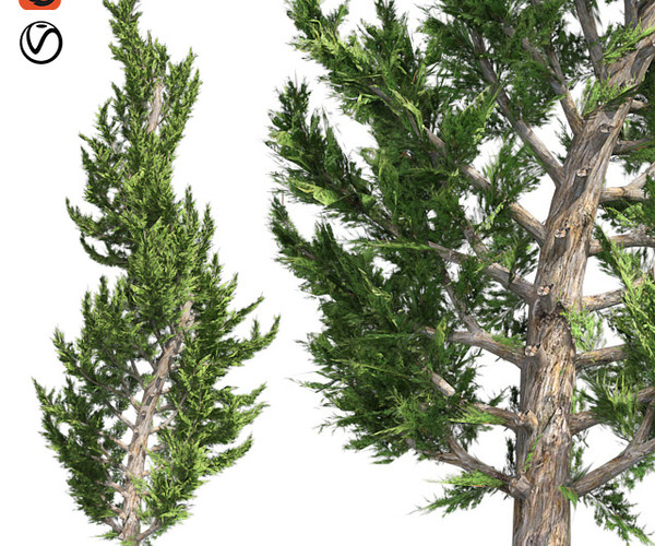 ArtStation - Tree Collection Vol 003 (30 Trees) | Resources