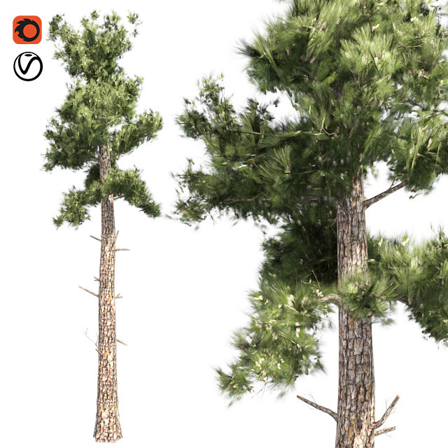ArtStation - Tree Collection Vol 003 (30 Trees) | Resources