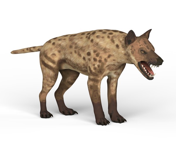 ArtStation - Monster Dog 3D Model | Resources