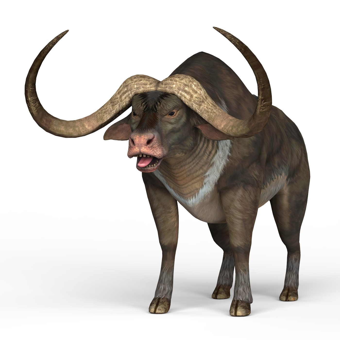 Ravi Patel - Wild Buffalo 3D Model