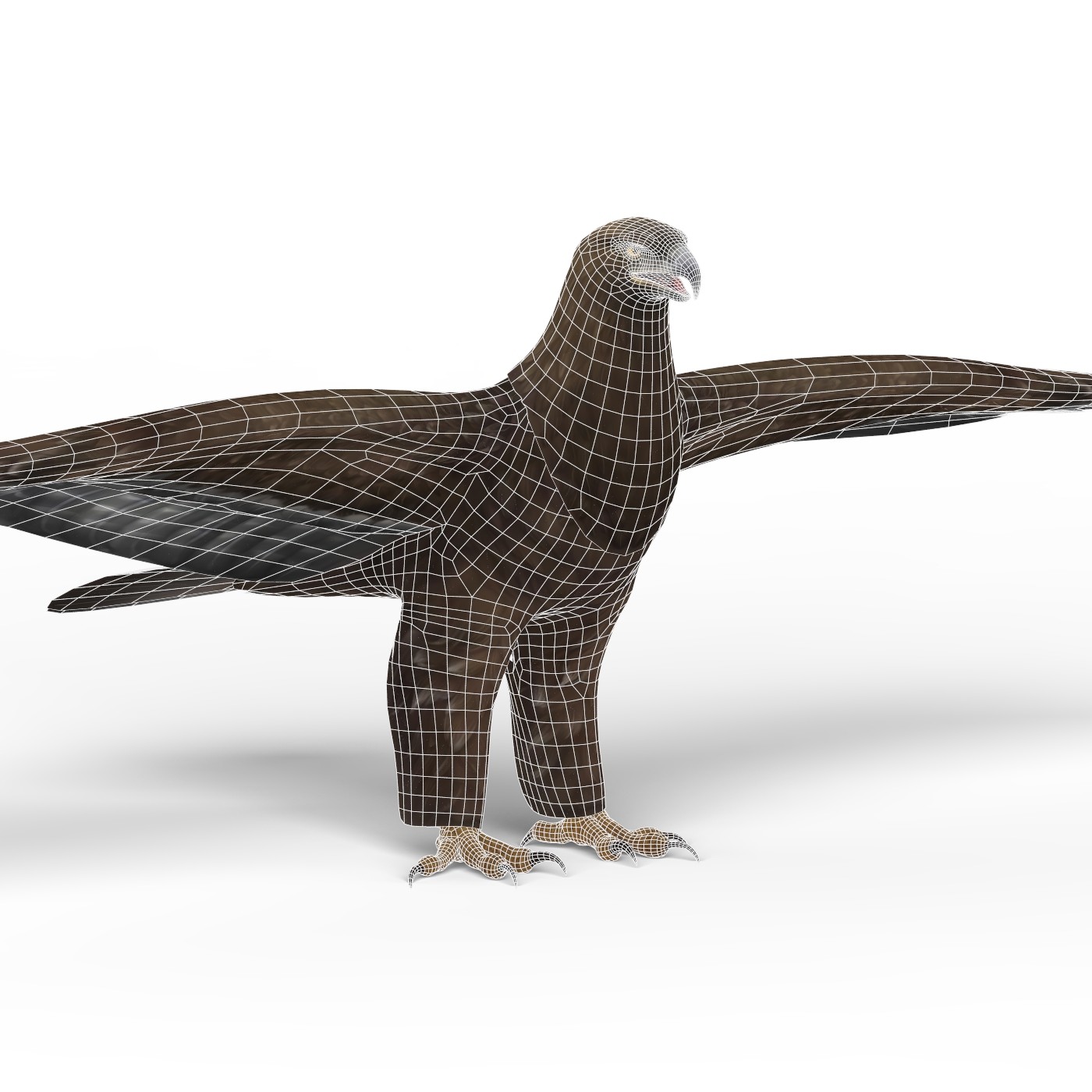 ArtStation - Eagle 3D Model | Resources