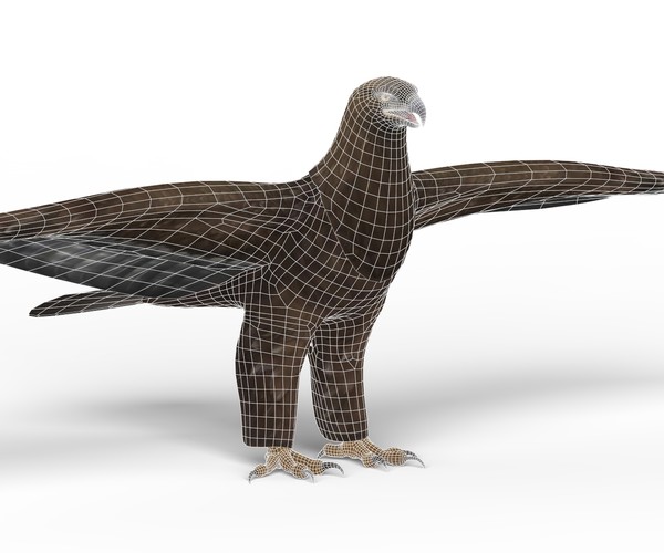 ArtStation - Eagle 3D Model | Resources