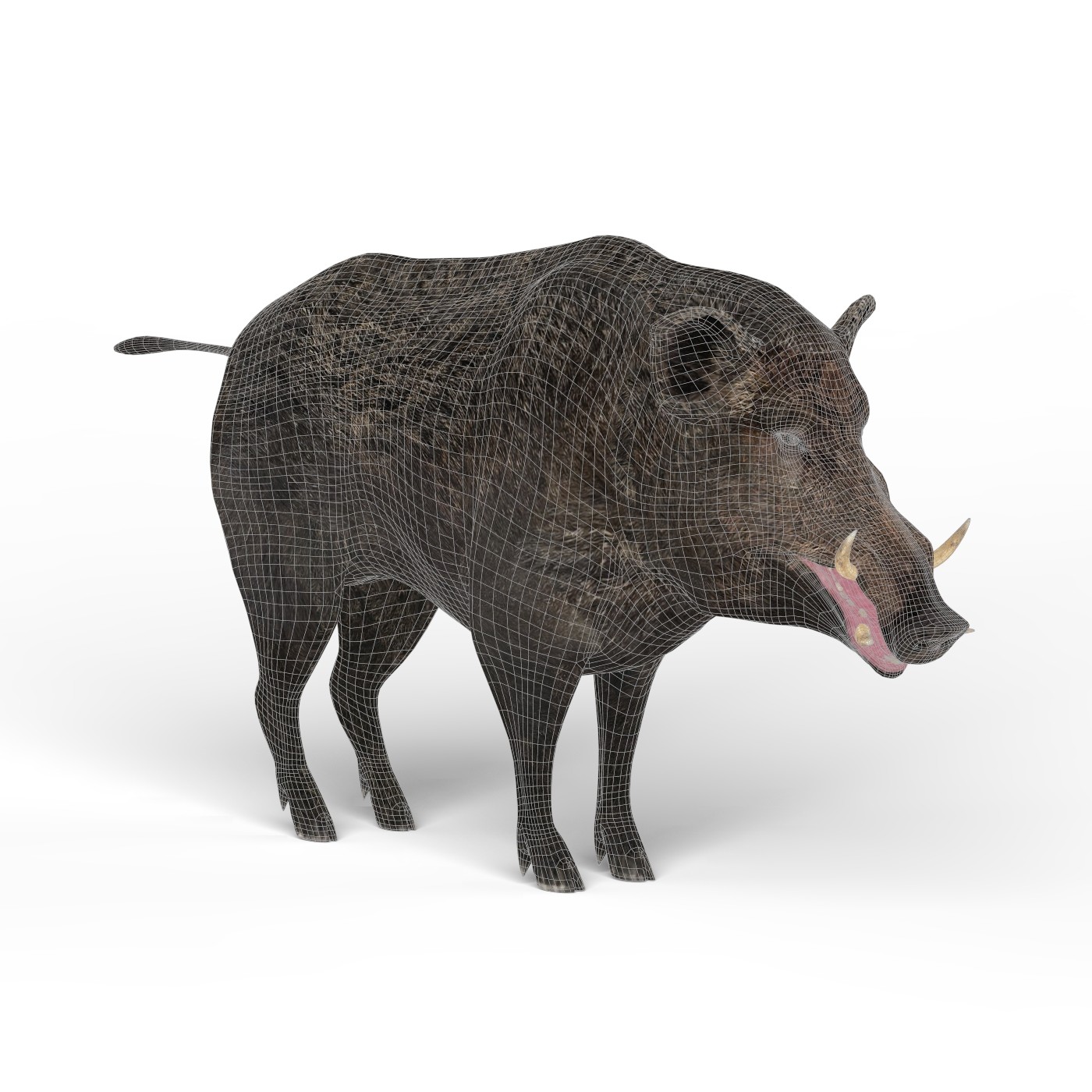 Ravi Patel - Wild Boar 3D Model