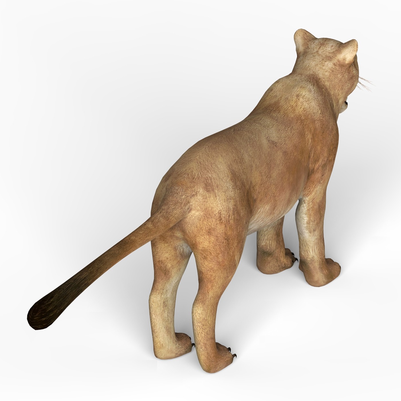 ArtStation - Lioness | Resources