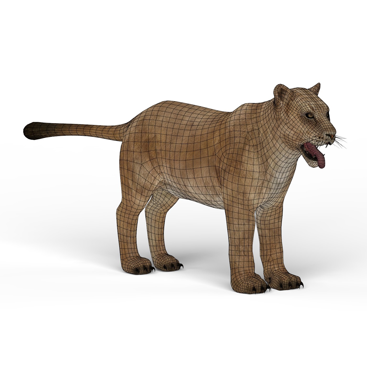 ArtStation - Lioness | Resources