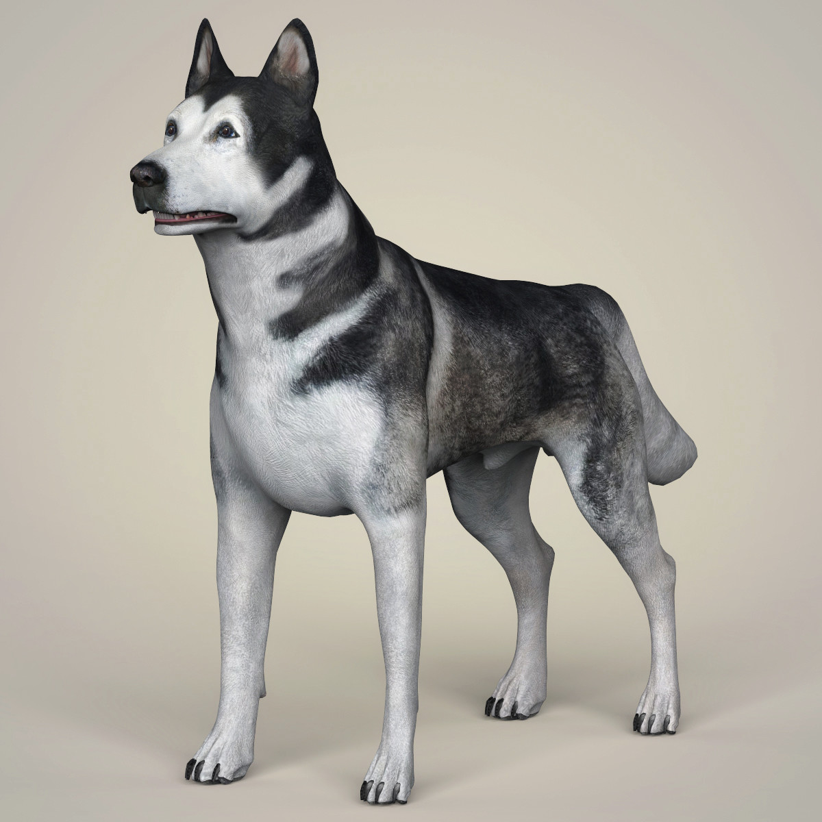 ArtStation - Realistic 3D Dog Collection | Resources