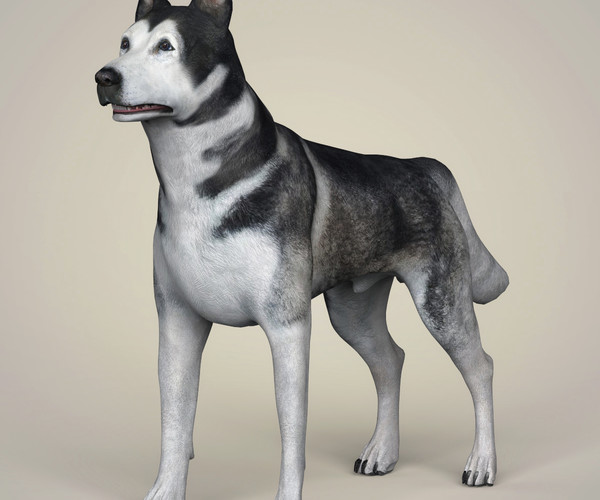 ArtStation - Realistic 3D Dog Collection | Resources