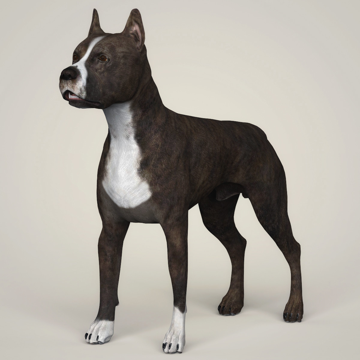 ArtStation - Realistic 3D Dog Collection | Resources