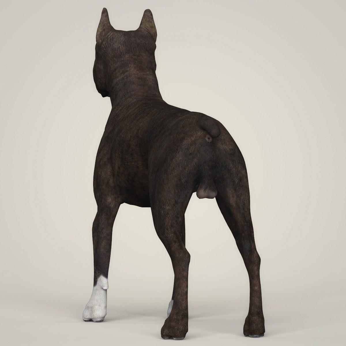ArtStation - Realistic 3D Dog Collection | Resources