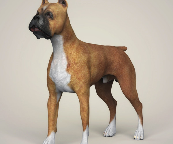 ArtStation - Realistic 3D Dog Collection | Resources