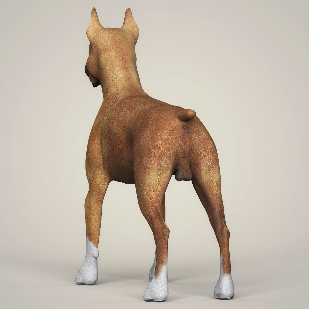 ArtStation - Realistic 3D Dog Collection | Resources