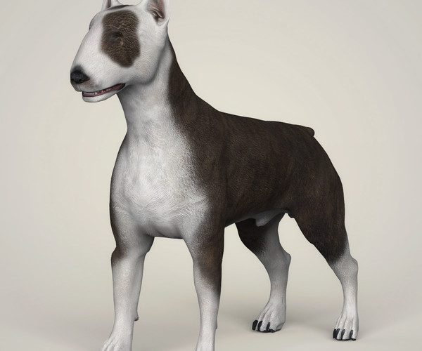 ArtStation - Realistic 3D Dog Collection | Resources