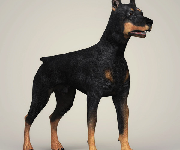 ArtStation - Realistic 3D Dog Collection | Resources