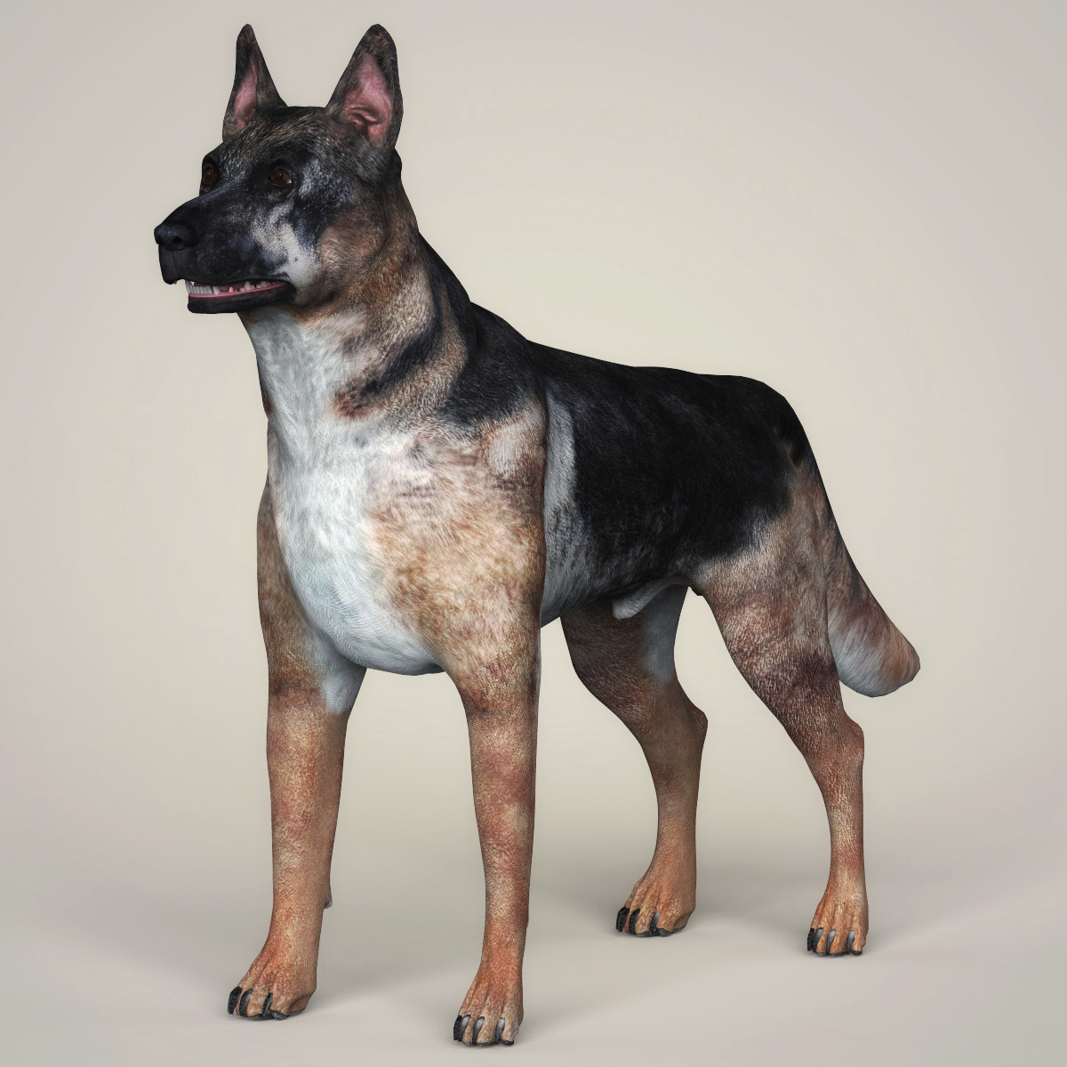 ArtStation - Realistic 3D Dog Collection | Resources