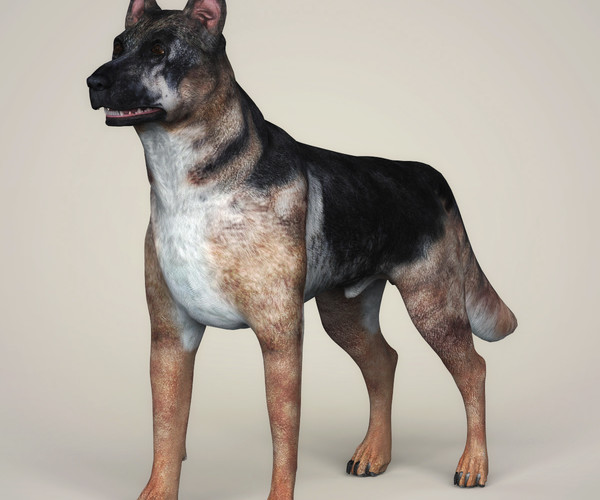 ArtStation - Realistic 3D Dog Collection | Resources