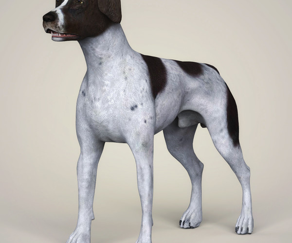ArtStation - Realistic 3D Dog Collection | Resources