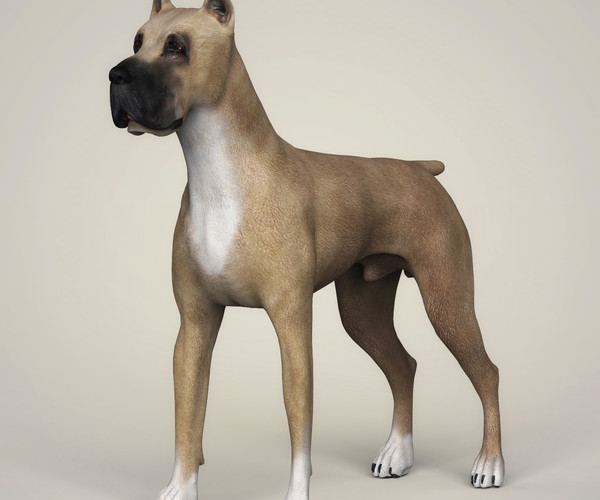 ArtStation - Realistic 3D Dog Collection | Resources