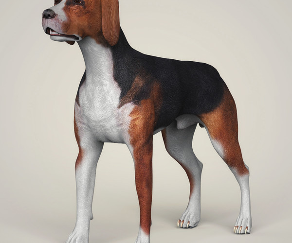 ArtStation - Realistic 3D Dog Collection | Resources