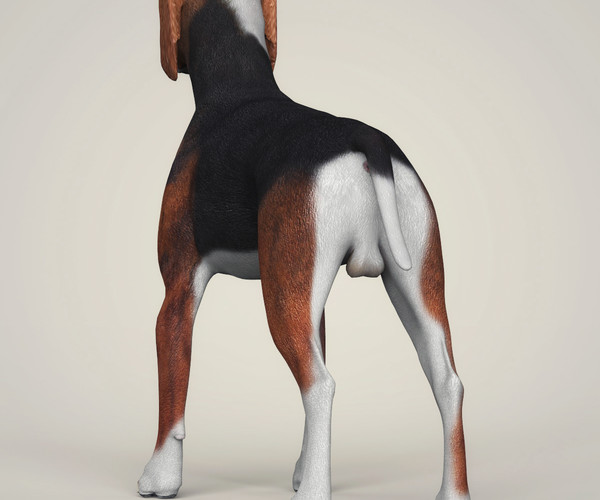 ArtStation - Realistic 3D Dog Collection | Resources