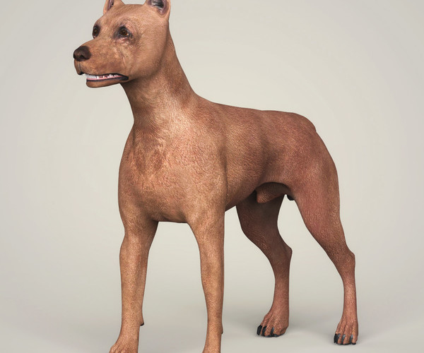 ArtStation - Realistic 3D Dog Collection | Resources