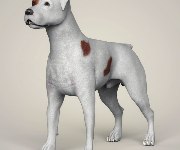 ArtStation - Realistic 3D Dog Collection | Resources